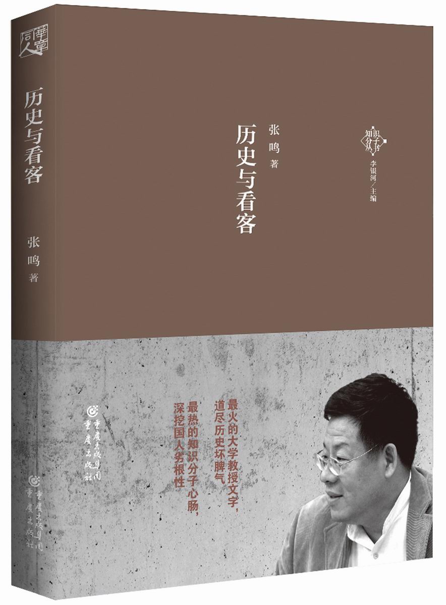 知识分子丛书：历史与看客4