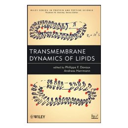 Transmembrane Dynamics Of Lipids