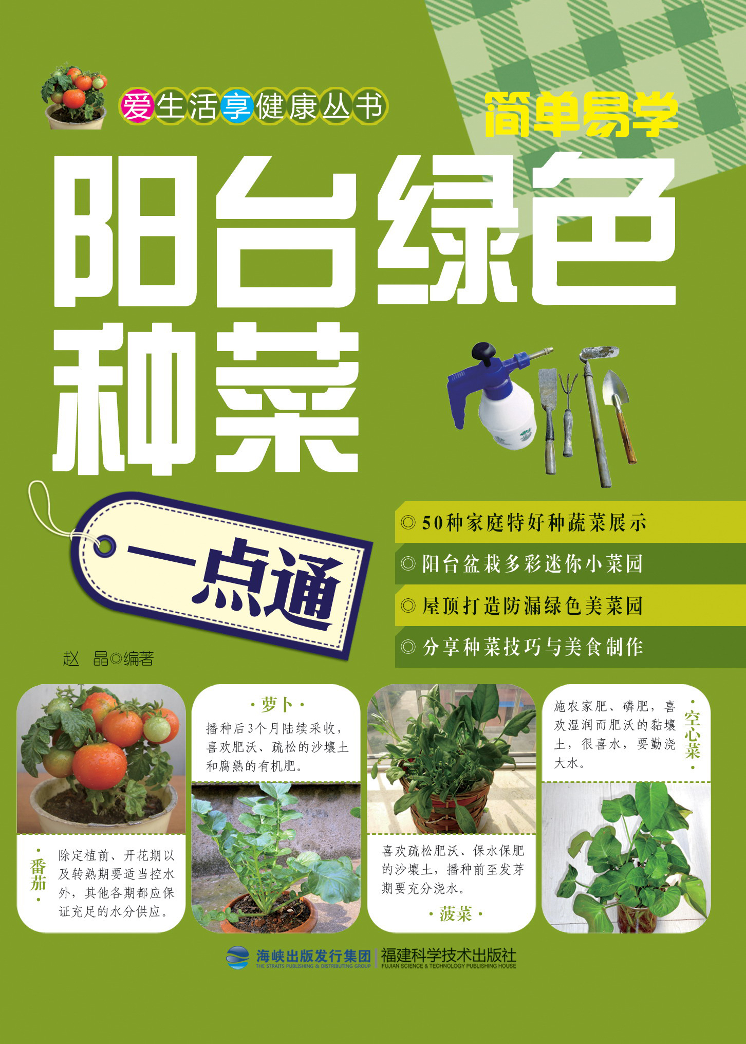 阳台绿色种菜一点通