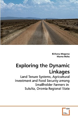 Exploring the Dynamic Linkages