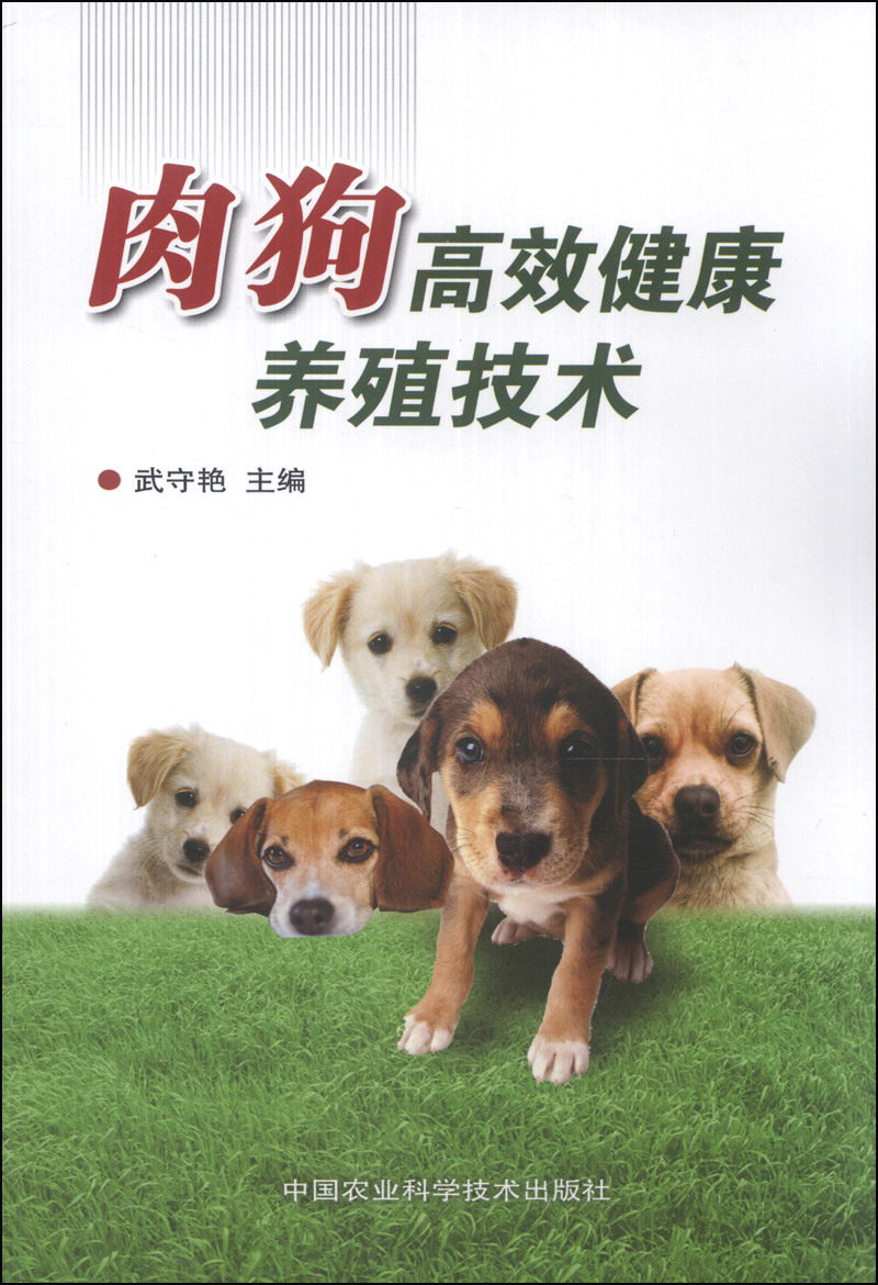 肉狗高效健康养殖技术