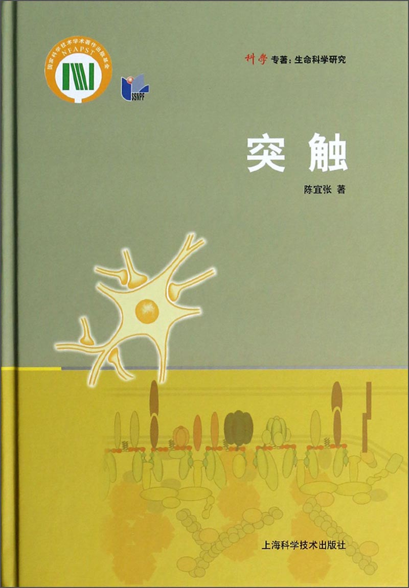 突触