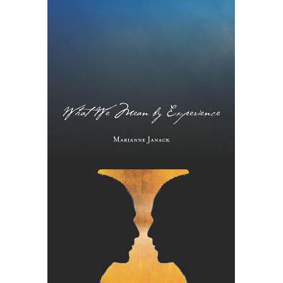 What We Mean by Experience