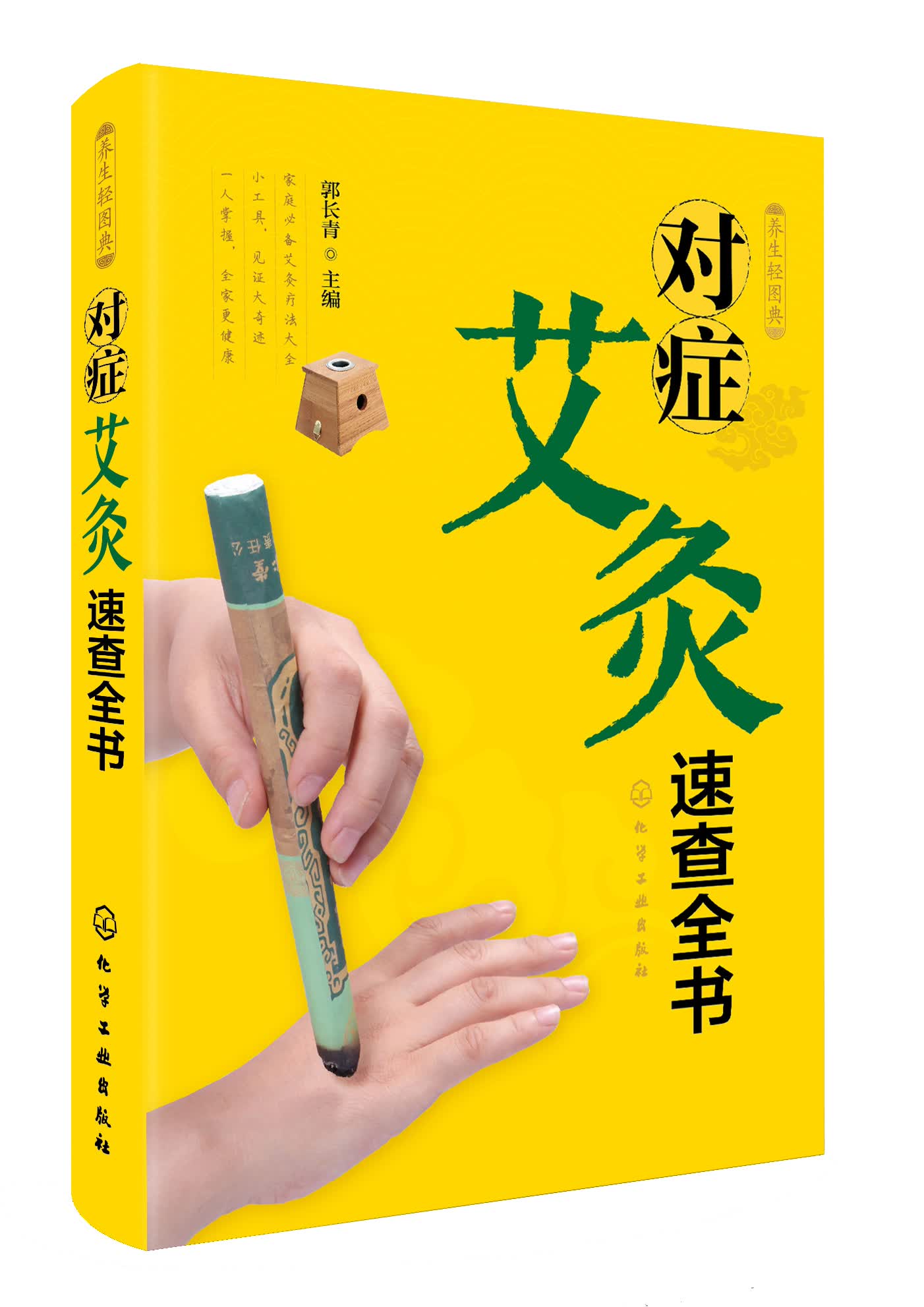 养生轻图典：对症艾灸速查全书