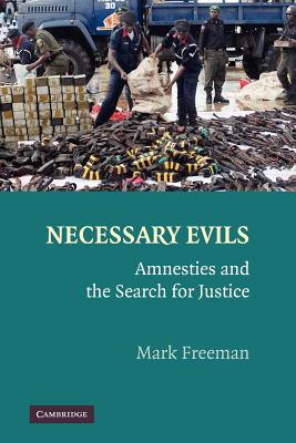 Necessary Evils: Amnesties and t