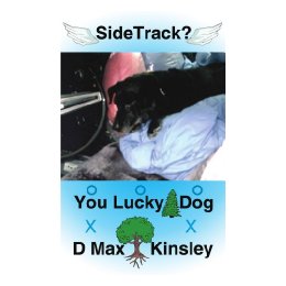 Sidetrack? You Lucky Dog