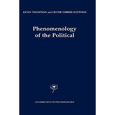 Phenomenology of the Political