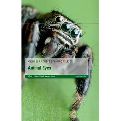Animal Eyes
