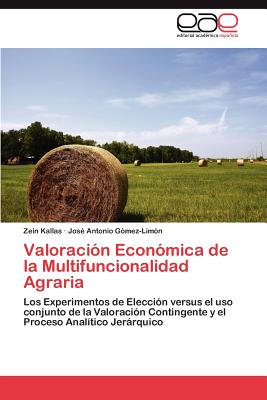 Valoraci N Econ Mica de L