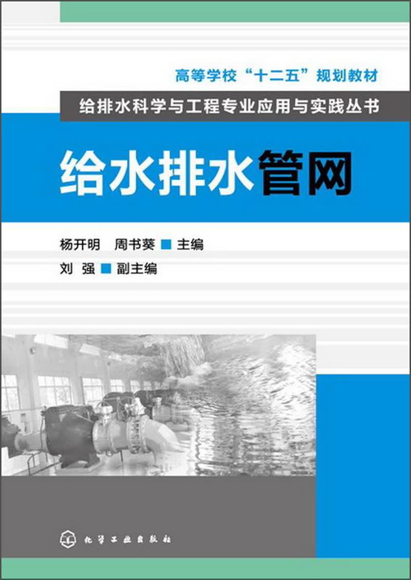 给排水科学与工程专业应用与实践丛书：给水排水管网