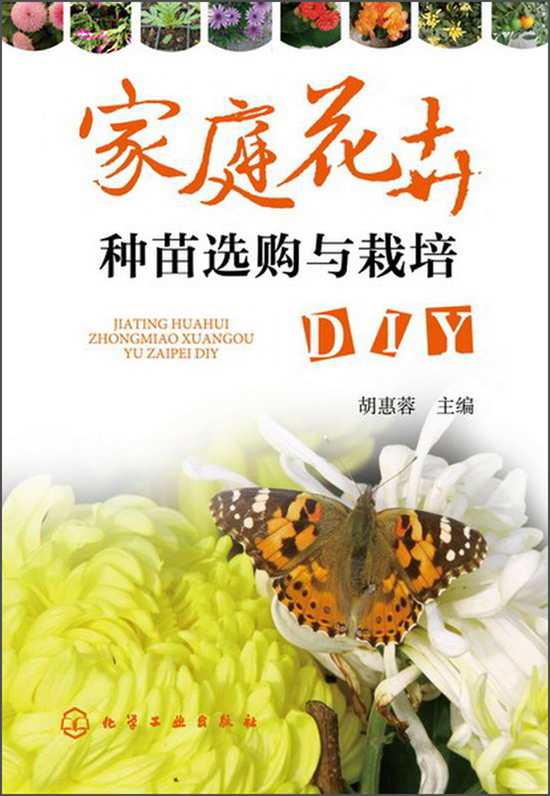 家庭花卉种苗选购与栽培DIY