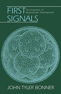 First Signals: The Evolution of