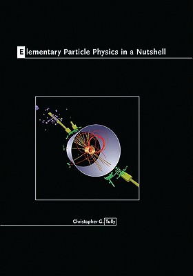 Elementary Particle Physics in a