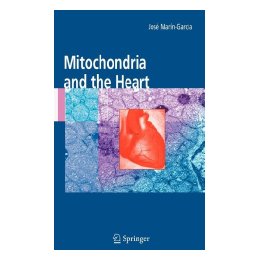 Mitochondria and the Heart