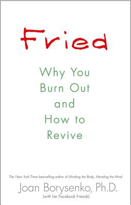 Fried: Why You Burn Out and How to