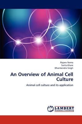 An Overview of Anima