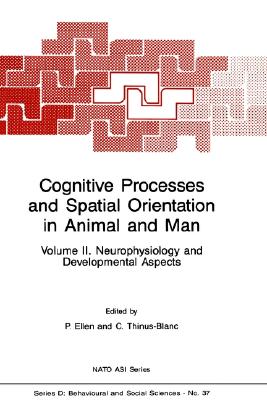 Cognitive Processes and Spatial