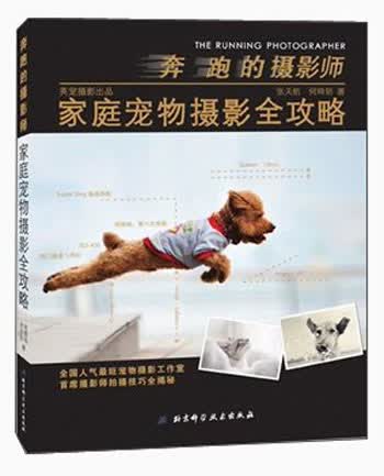 奔跑的摄影师：家庭宠物摄影全攻略