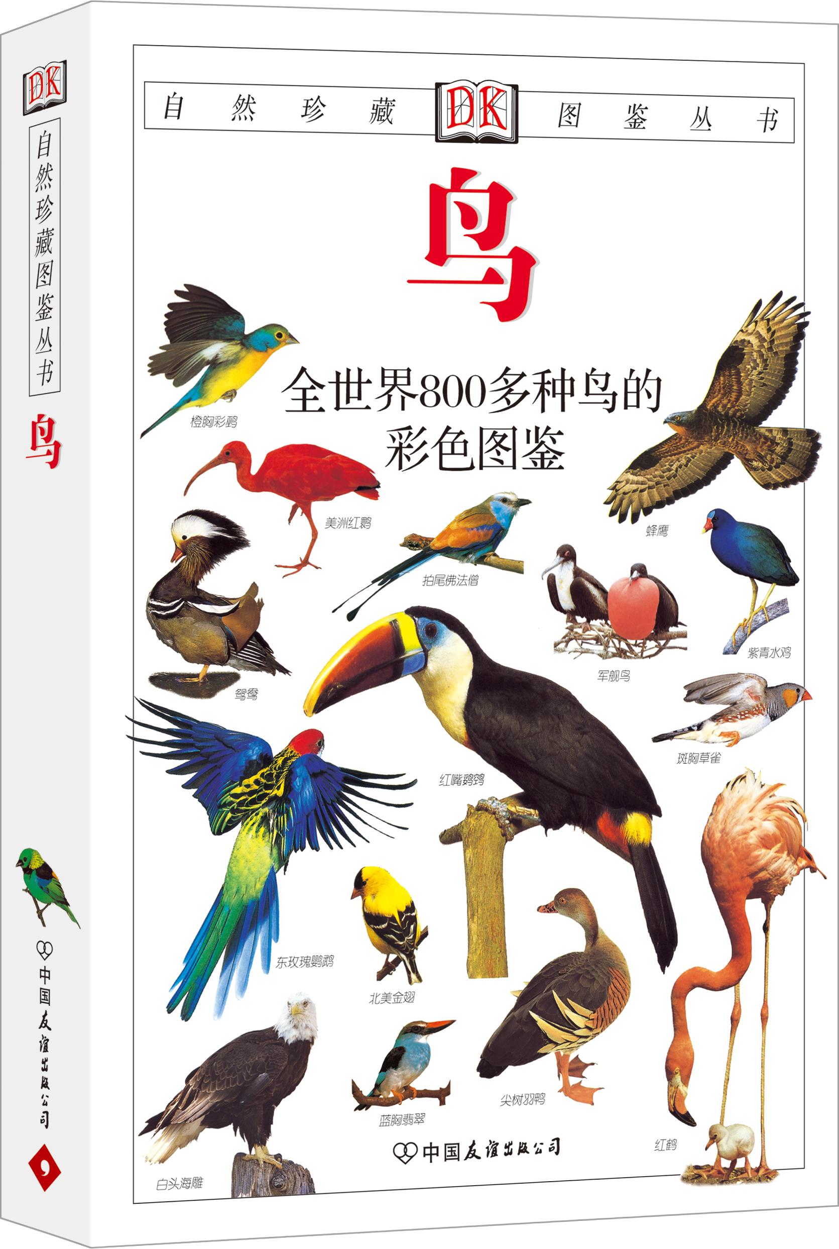 自然珍藏图鉴丛书：鸟