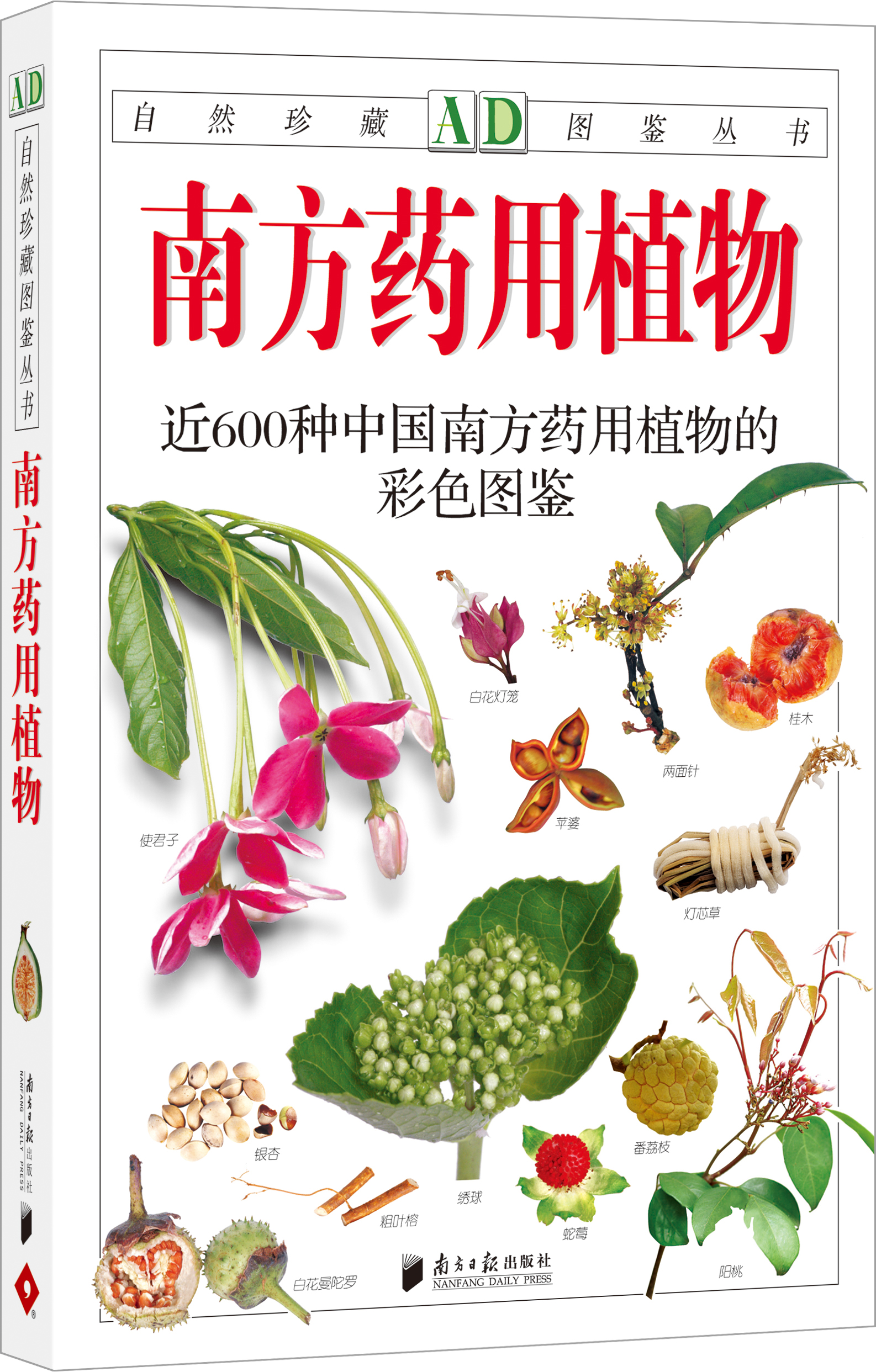 自然珍藏图鉴丛书：南方药用植物