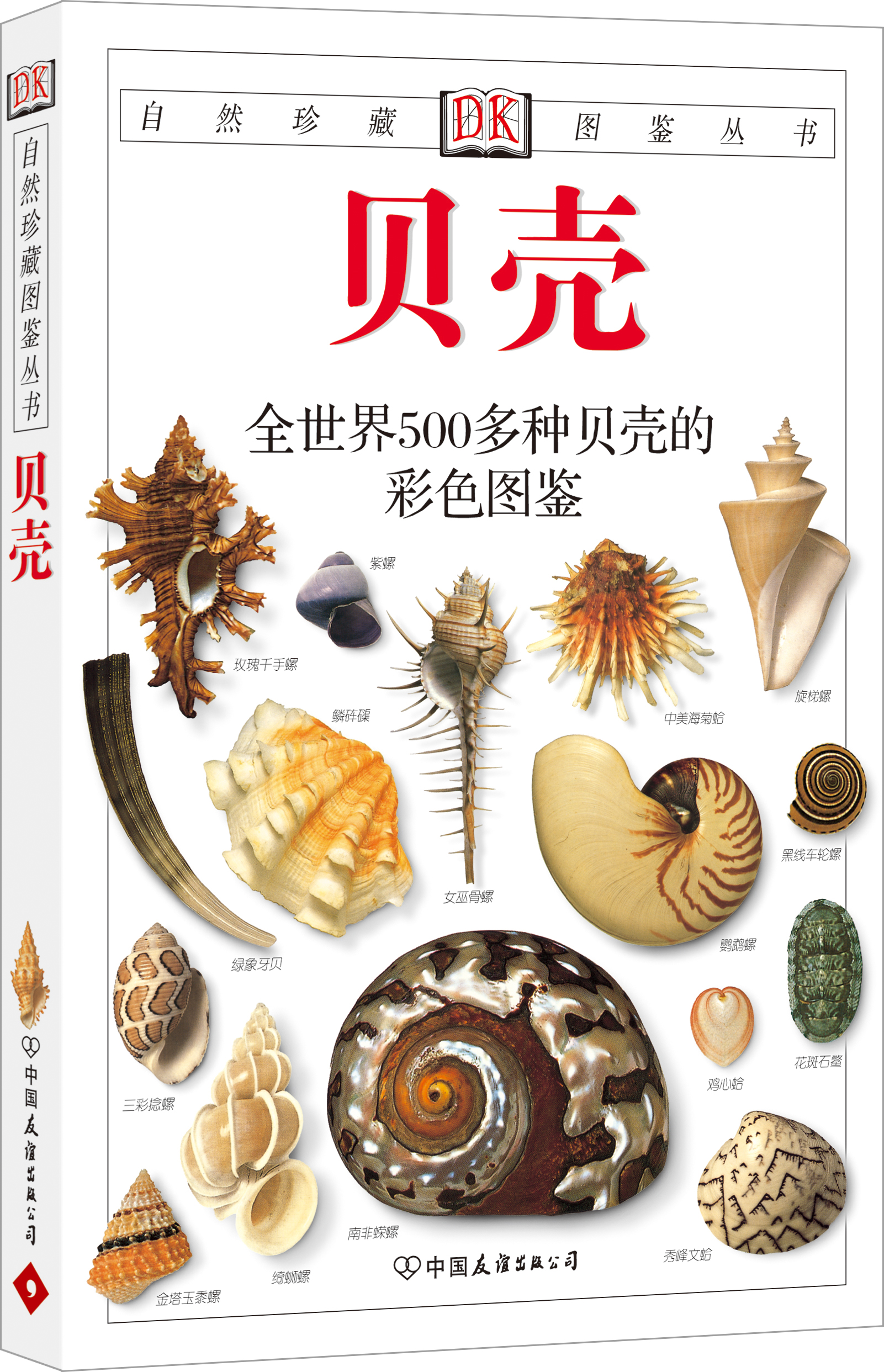 自然珍藏图鉴丛书：贝壳