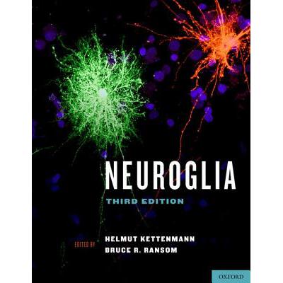 Neuroglia