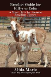 Breeders Guide for Fillys or Colts: A