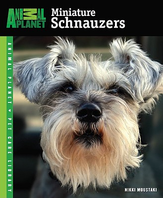 Miniature Schnauzers