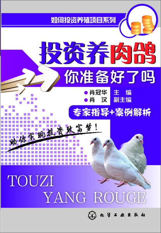 投资养肉鸽-你准备好了吗？
