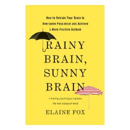 Rainy Brain, Sunny Brain