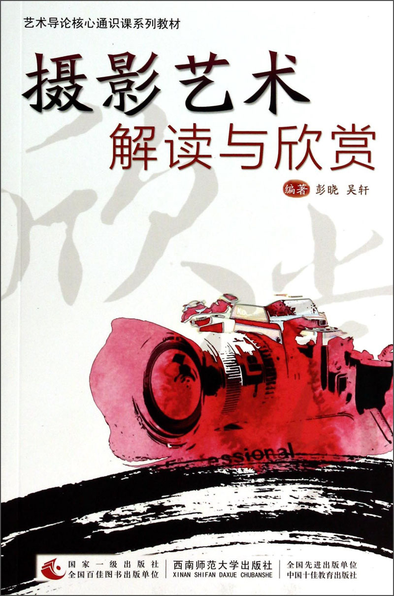 摄影艺术解读与欣赏/艺术导论核心通识课系列教材