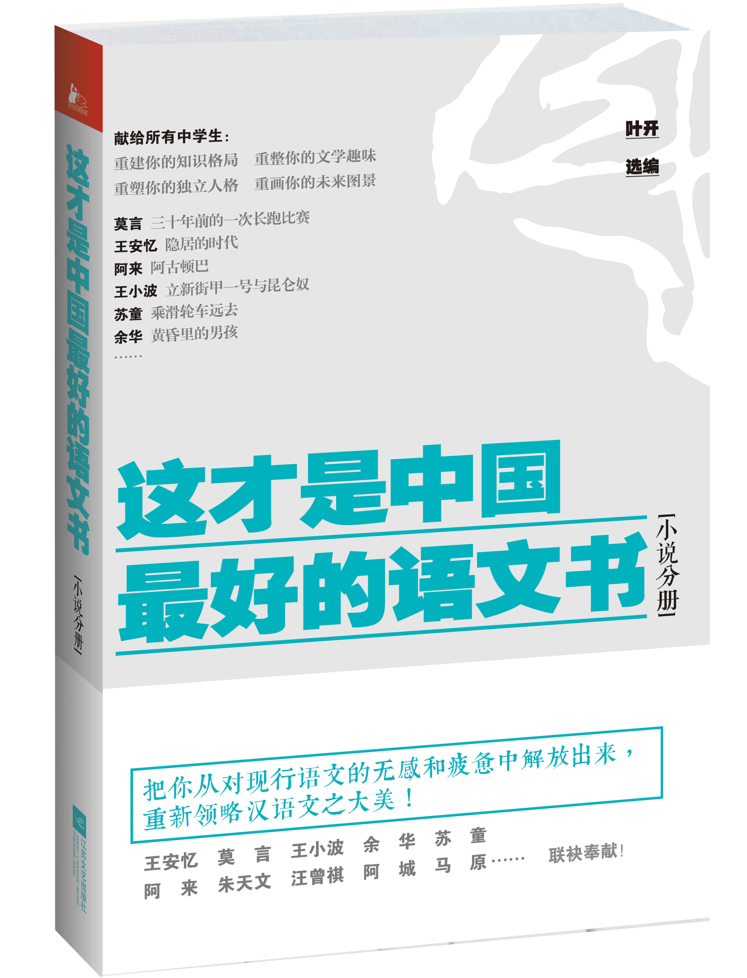 这才是中国最好的语文书（小说分册）
