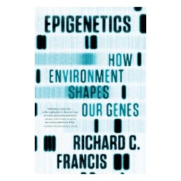 Epigenetics: How Environment Shapes Our
