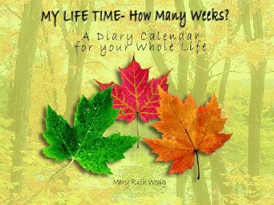 My Life Time- How Many Weeks?: A Diary