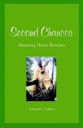 Second Chances: Amazing Hor