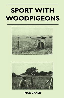 Sport with Woodpigeons
