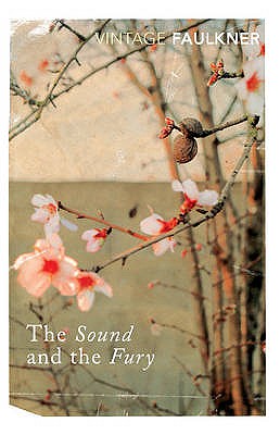 _英文原版 The Sound and The Fury 喧哗与骚动 威廉·福克纳