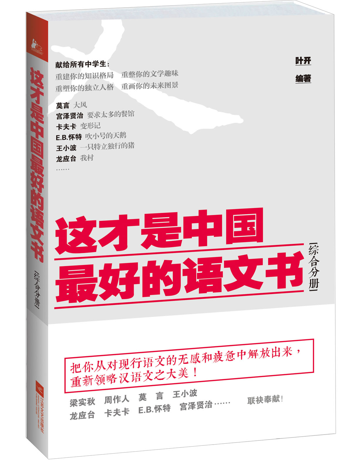 这才是中国最好的语文书（综合分册）