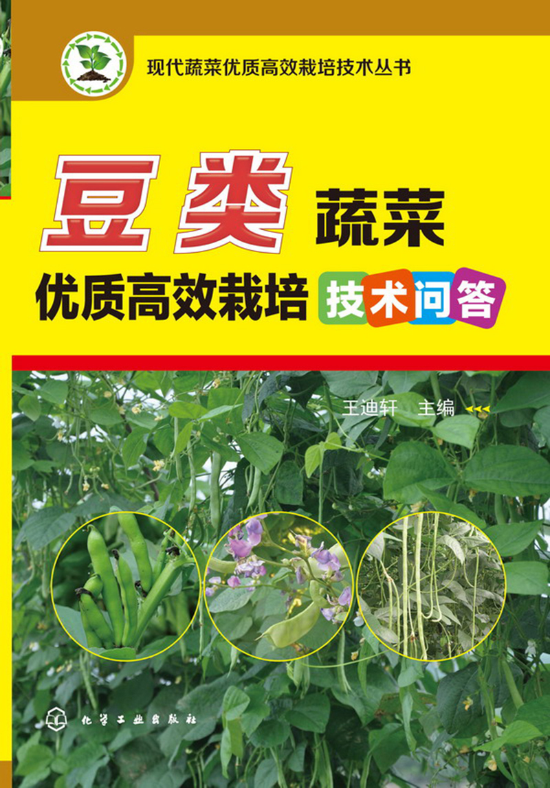 豆类蔬菜优质高效栽培技术问答