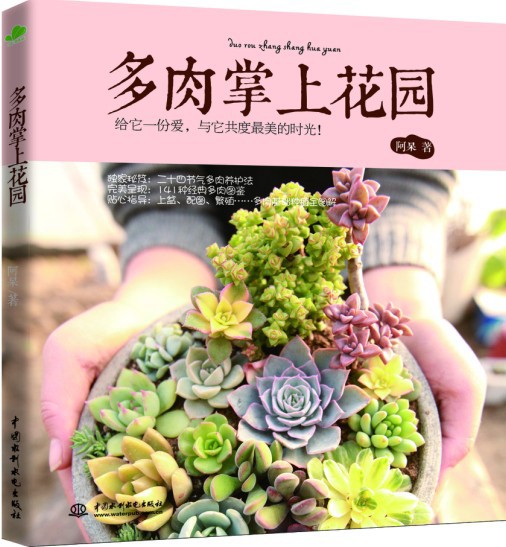多肉掌上花园