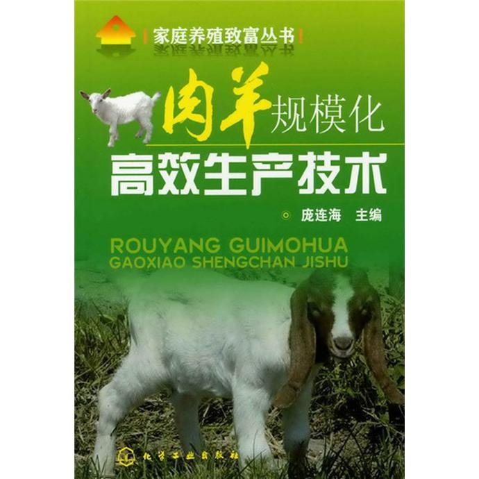 家庭养殖致富丛书：肉羊规模化高效生产技术