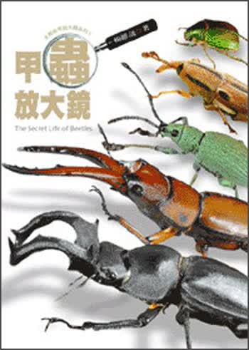 甲蟲放大鏡