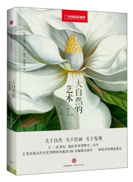 大自然的艺术