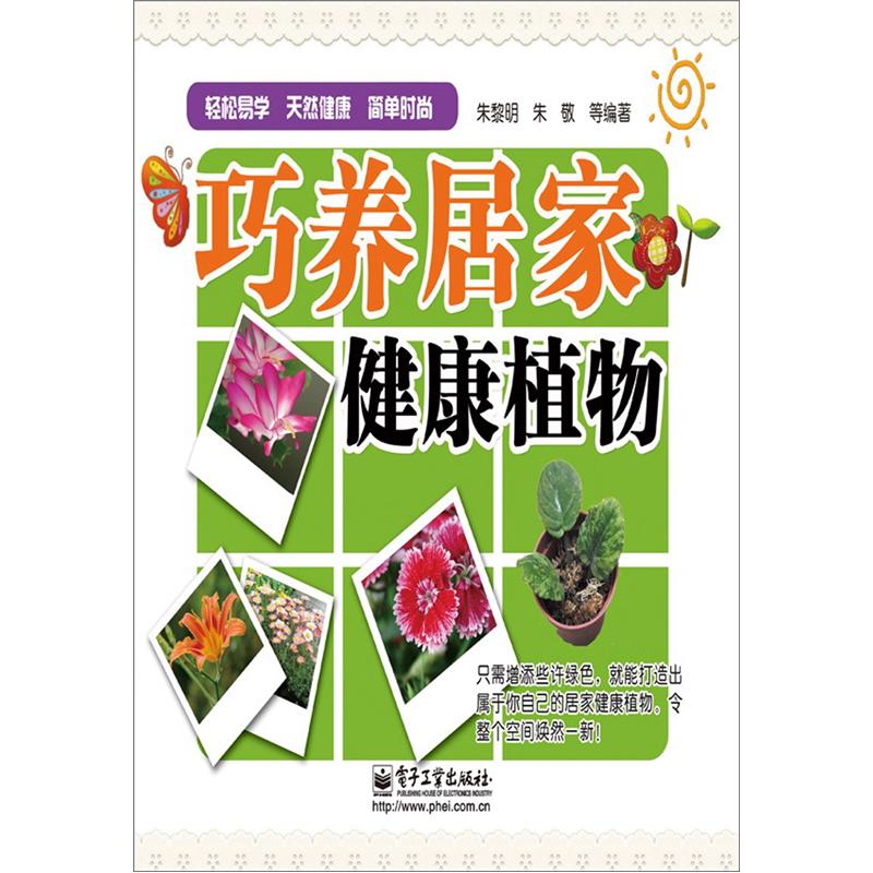 巧养居家健康植物