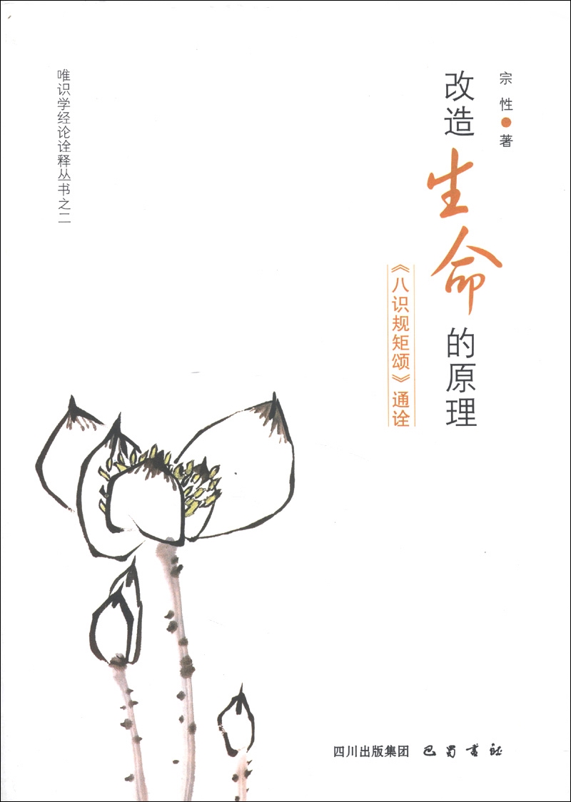 唯识学经论诠释丛书·改造生命的原理：《八识规矩颂》通诠