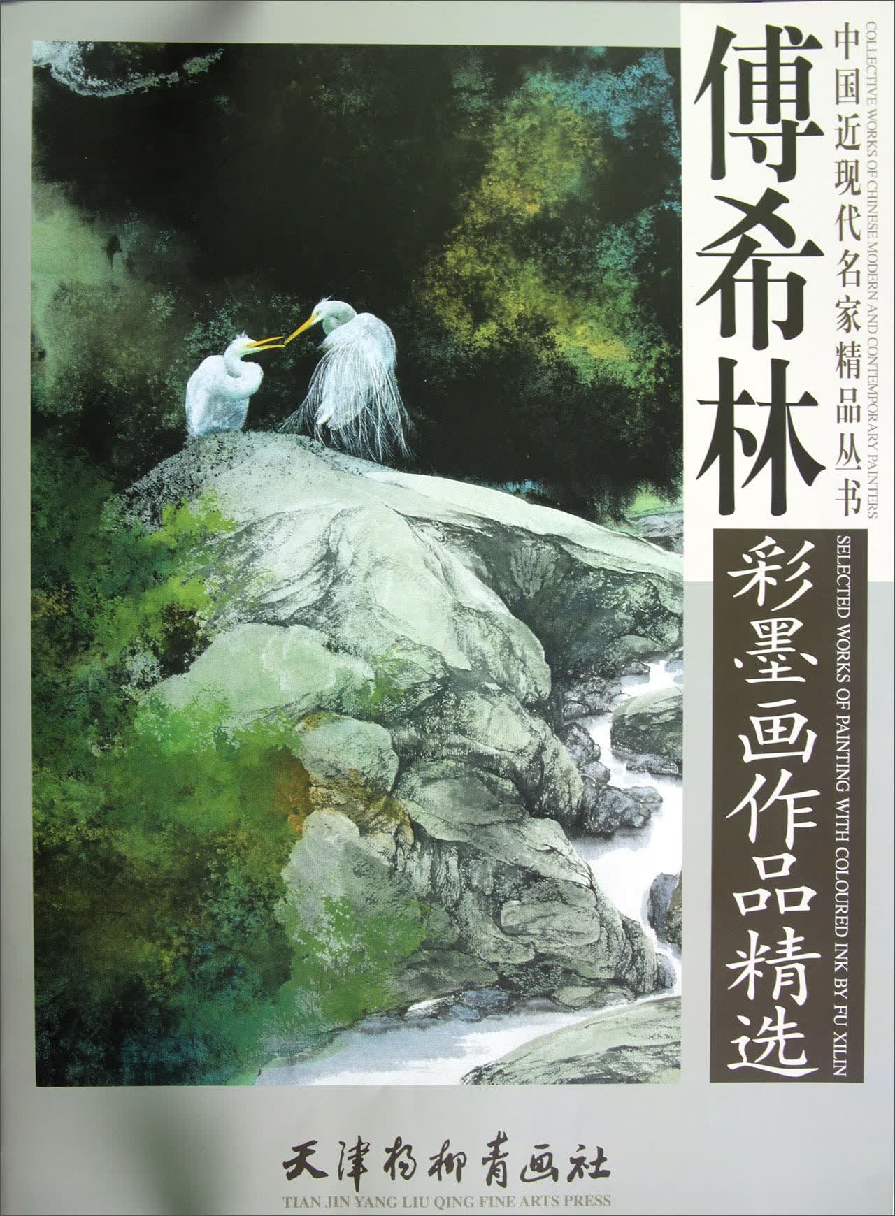 中国近现代名家精品丛书：傅希林彩墨画作品精选