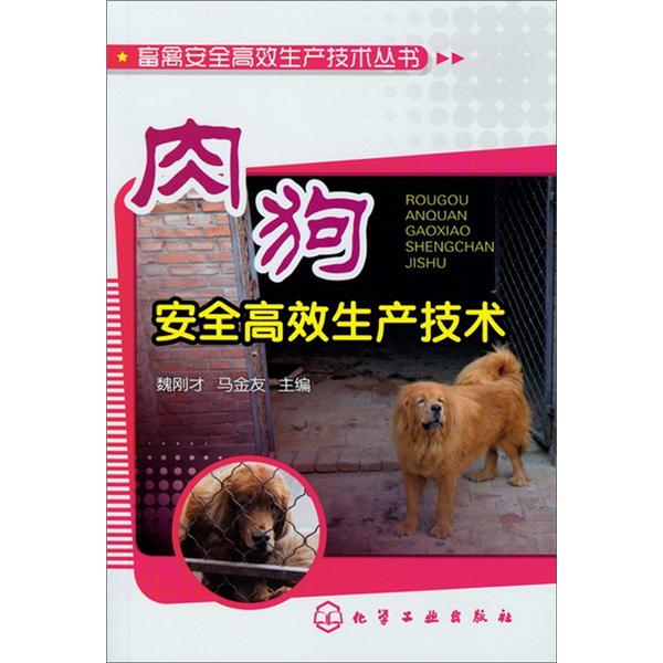 畜禽安全高效生产技术丛书：肉狗安全高效生产技术