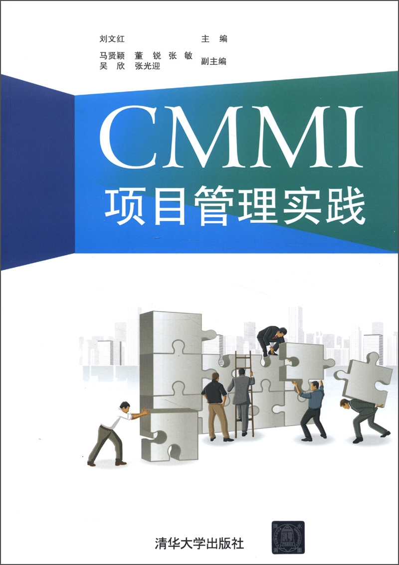 CMMI项目管理实践《现货速发》