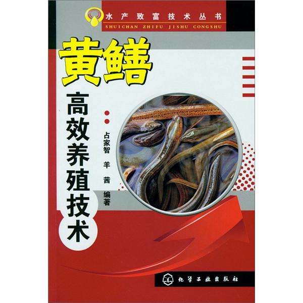 水产致富技术丛书：黄鳝高效养殖技术