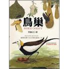 鳥巢